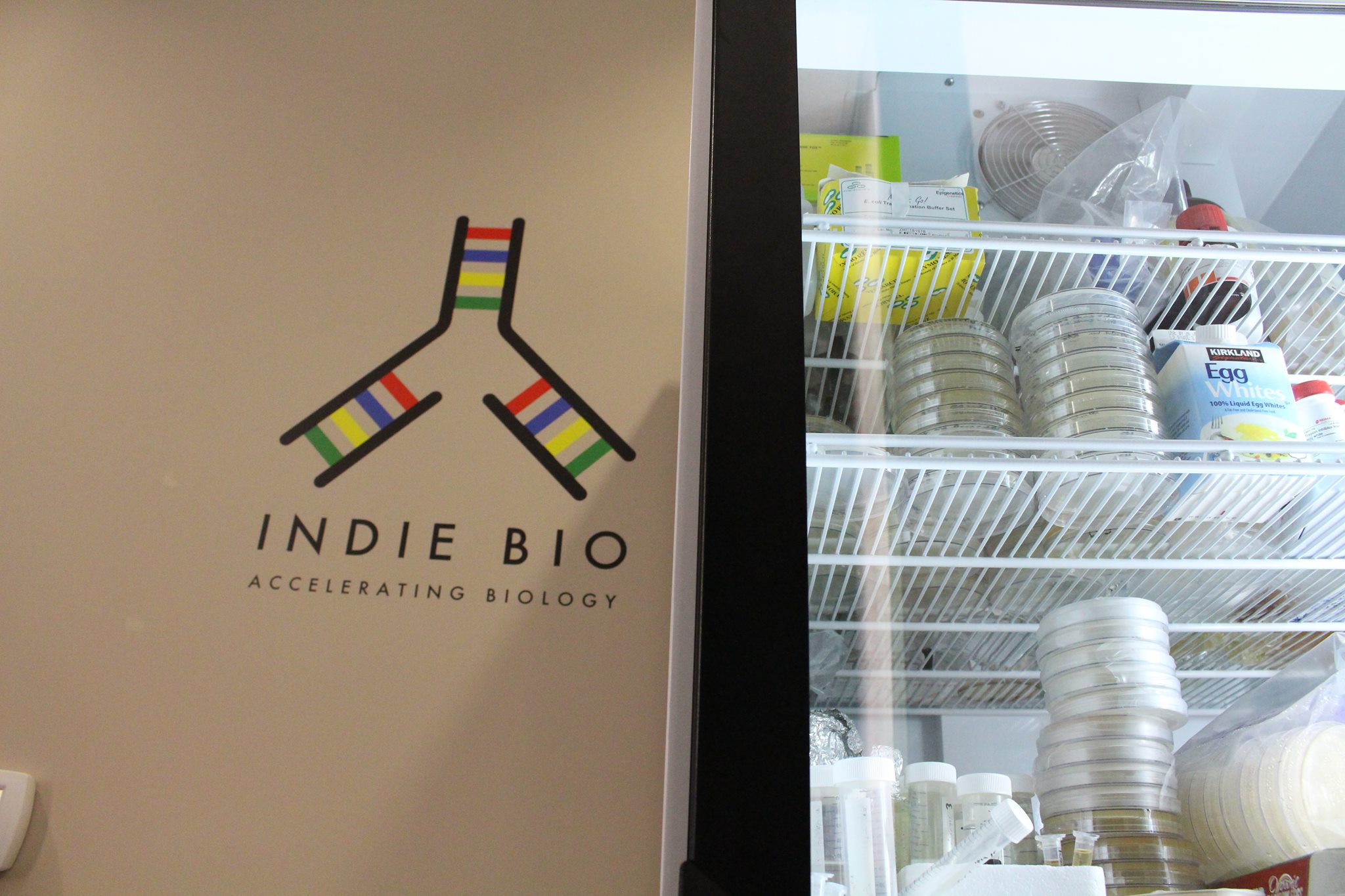 台灣新創團隊的搖籃，全球首個生醫加速器 Indiebio | TechNews 科技新報