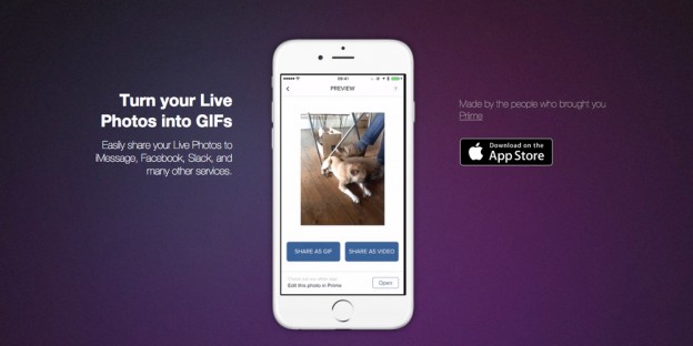 新 App《Live GIF》把 iPhone 6s 的 Live Photo 變成 GIF 動畫 | TechNews 科技新報