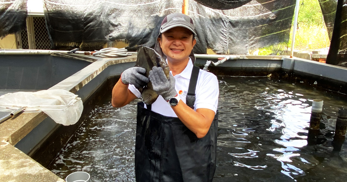 陽光花園深耕漁電共生領域，成立專業養殖管理公司「陽光漁場」 | TechNews 科技新報
