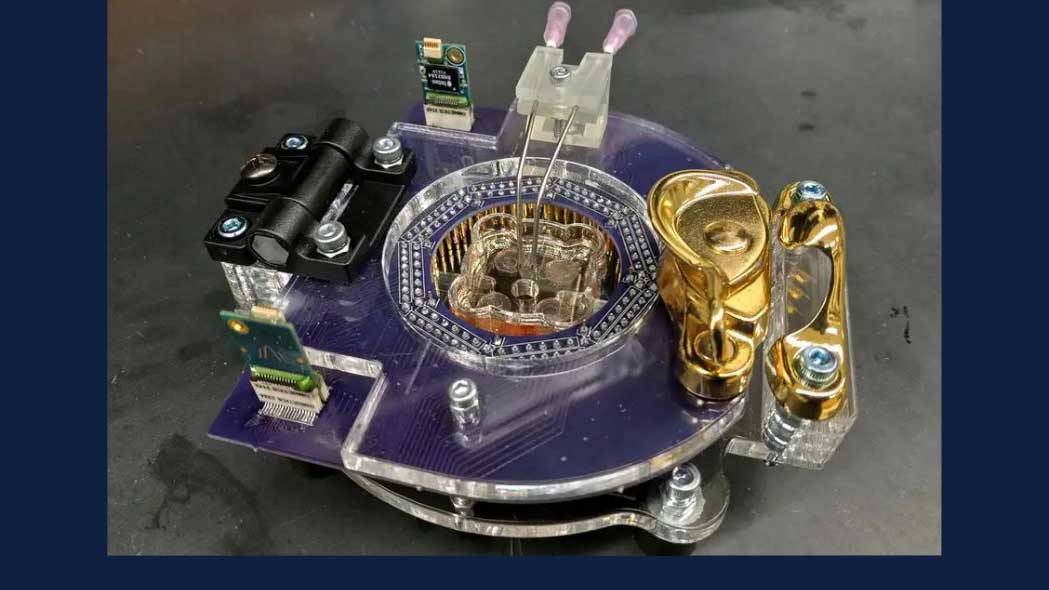 大腦與電腦結合！科學家用 8 萬個鼠腦細胞建構「活體電腦」 | TechNews 科技新報
