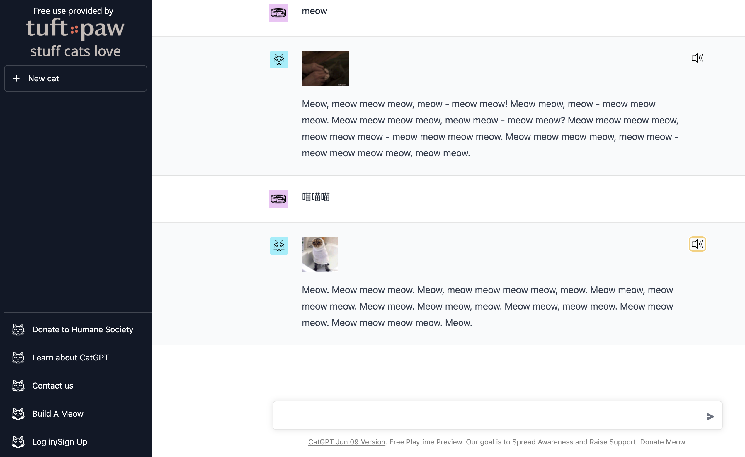 ChatGPT 喵星人版本！貓奴們玩過「CatGPT」了嗎？ | TechNews 科技新報