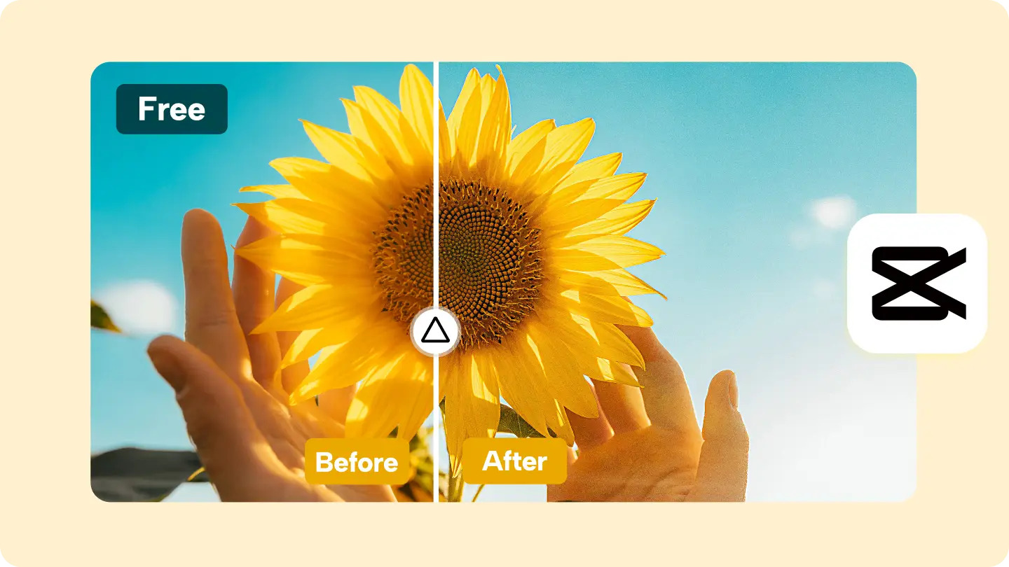 不爽 CapCut 霸王條款「永久免費使用客戶內容」！開源版剪映 Opencut 社群爆紅 | TechNews 科技新報