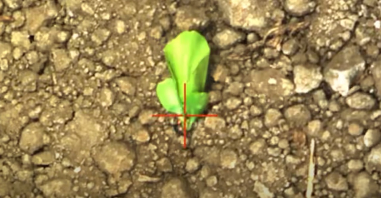 NVIDIA 人工智慧加雷射：秒殺上萬小草毫不費力 | TechNews 科技新報