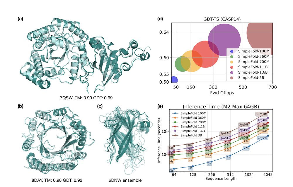 蘋果推新 AI 模型 SimpleFold，更輕巧的蛋白質摺疊預測工具 | TechNews 科技新報